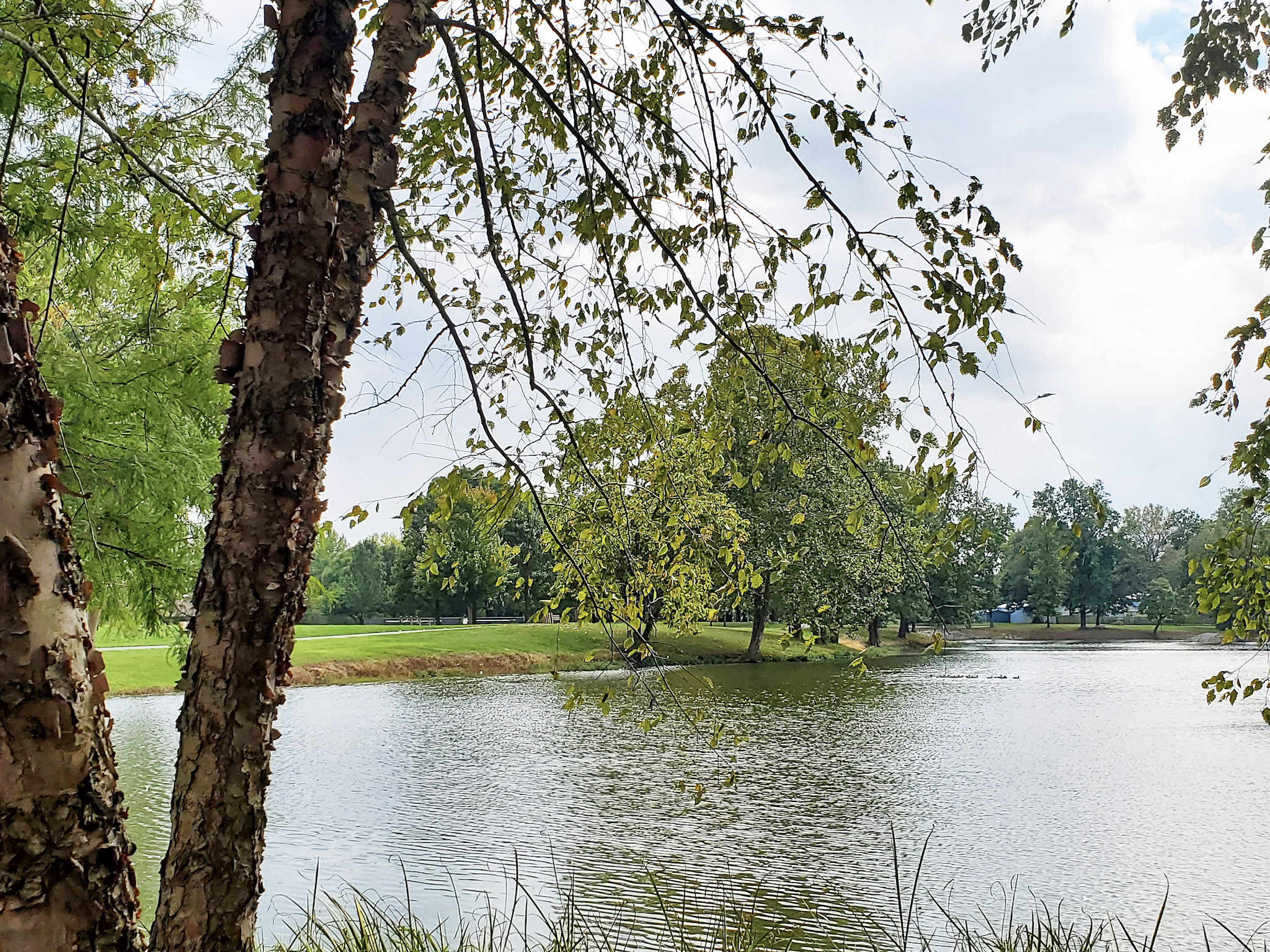 Drost Park by Parks & Blooms