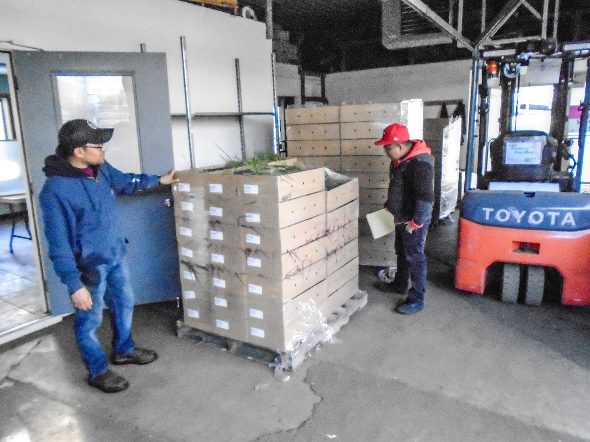 DGI Propagators - Grand Rapids, MI