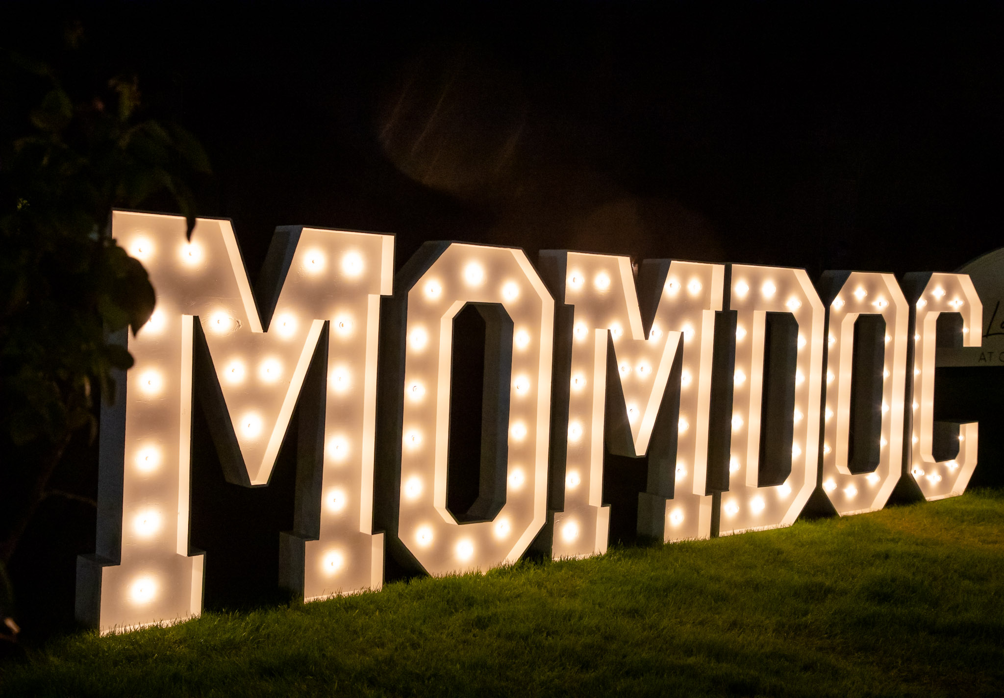 Momdoc Holiday Party 2023 by RiKenna Photography