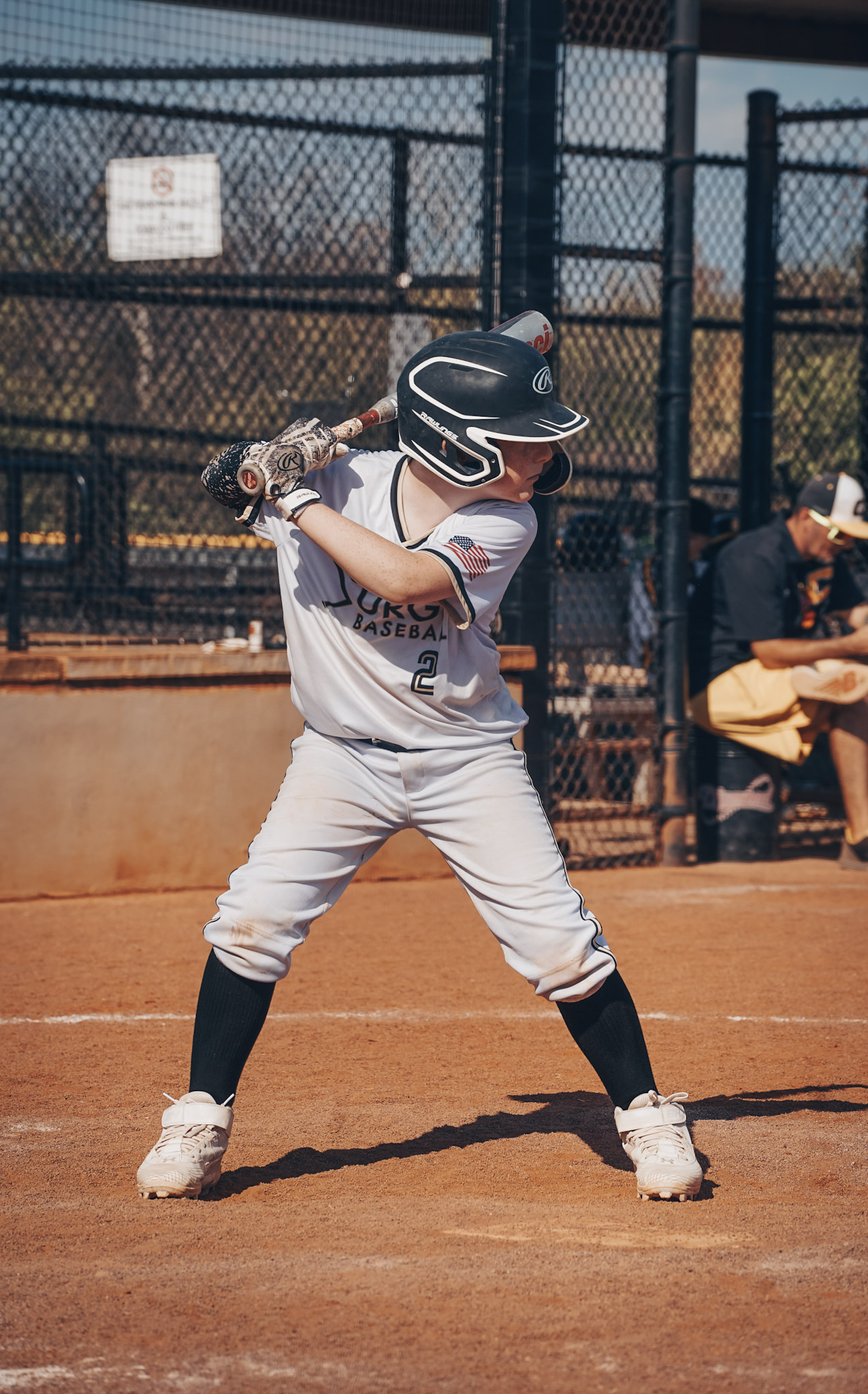 Surge Edited by Amanda Ham