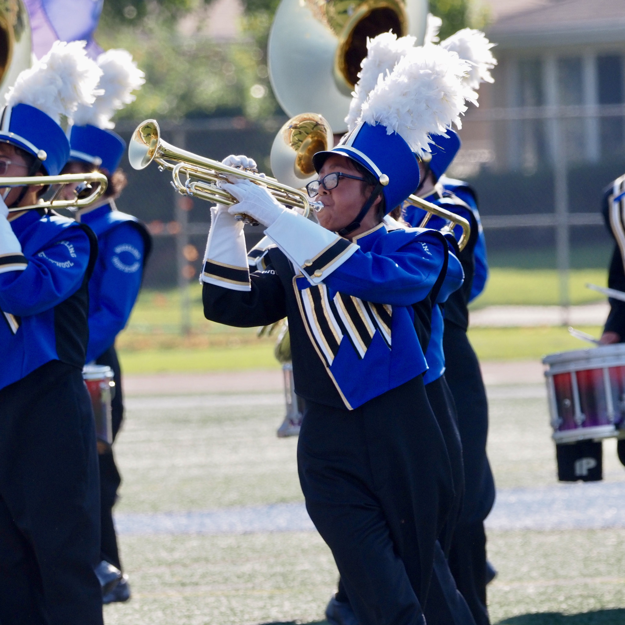 2023 Knight of Champions-Wheeling Wildcats by Anthony Grazioso