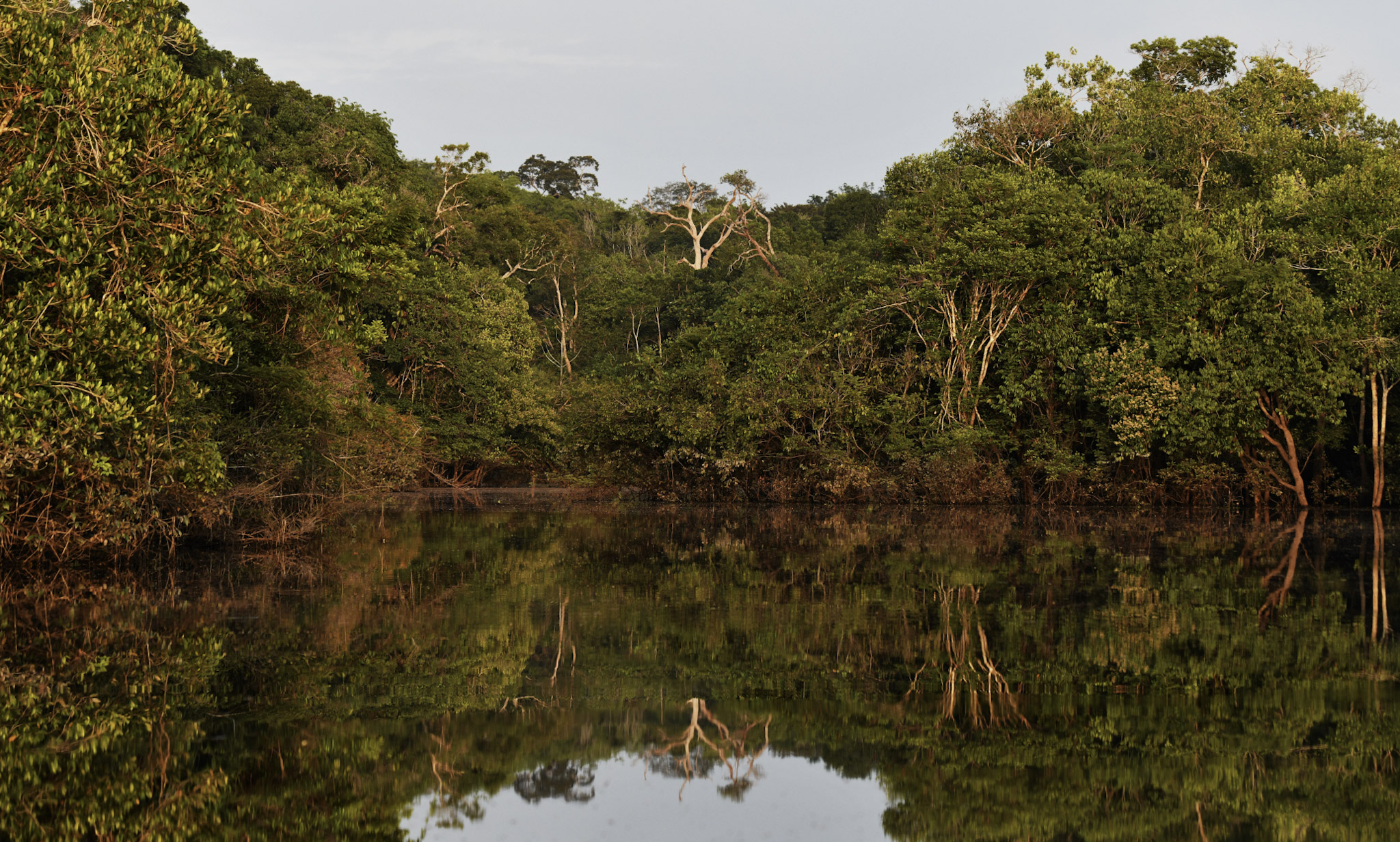 3 Fleuves 08 01 by Grands Espaces