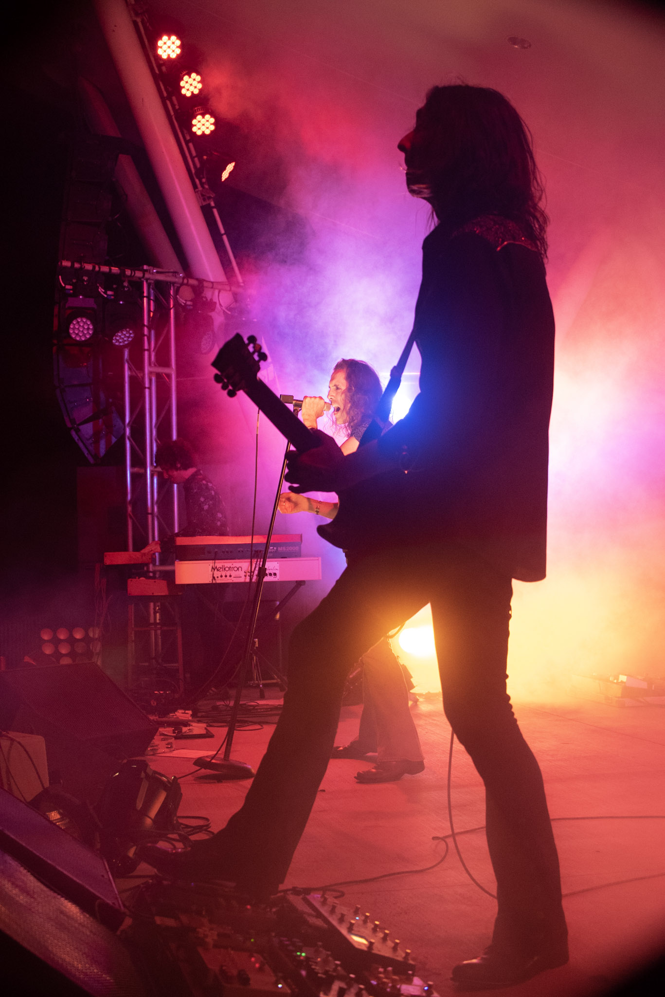 Highlights by Jen Gray | Lo Fi Eye