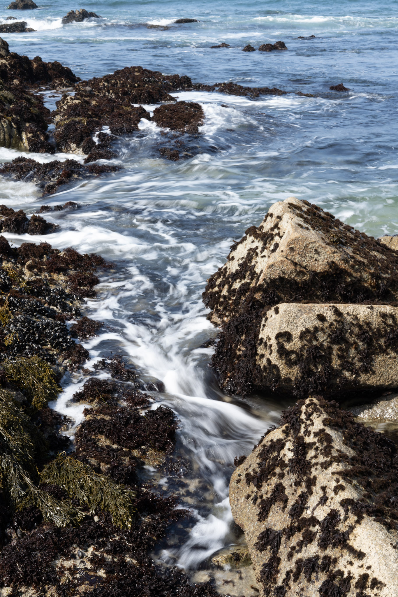 Assignment 3 - Shutter Speed Examples