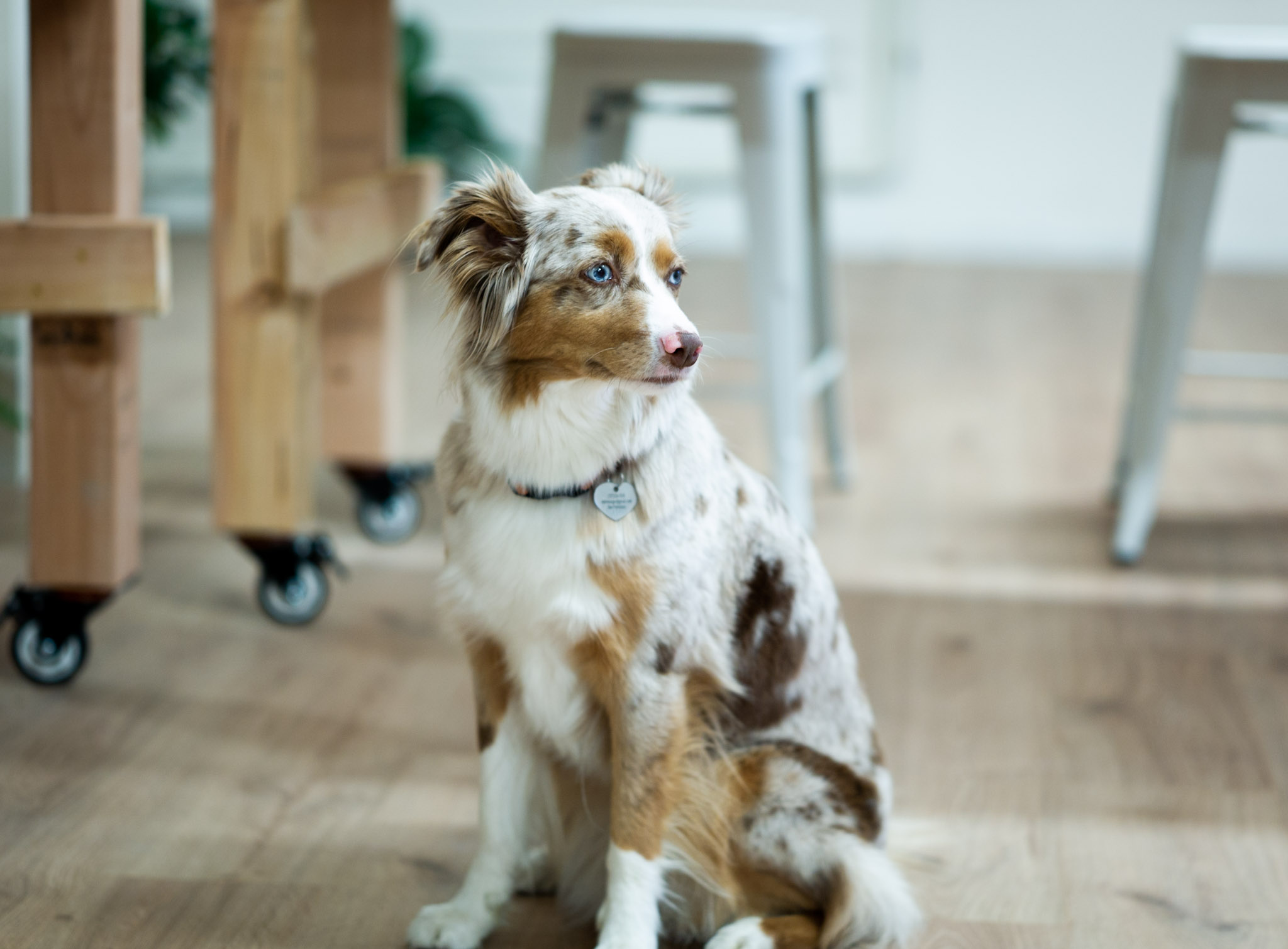 July 20, 2022 by Alex Strachan